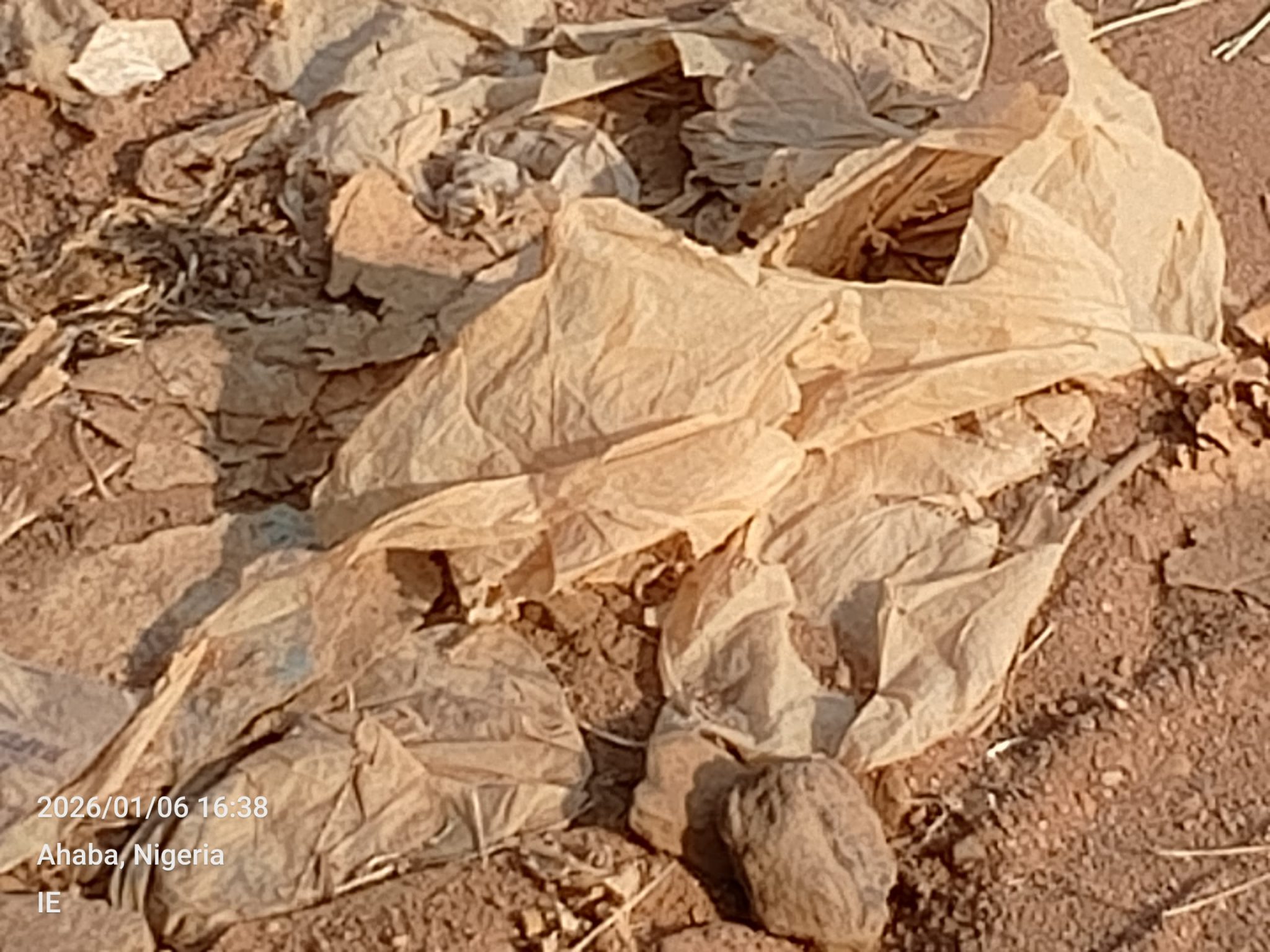 The Plastic Harvest: A Molecular Invasion of the Nigerian Table - News ...