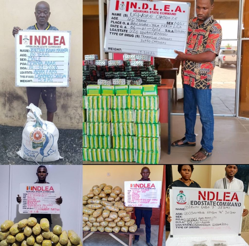 80-year-old ex-convict arrested as NDLEA uncovers illicit drugs in full ...